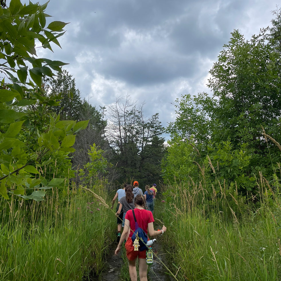 Outdoor Education for School Groups | Curriculum-Linked Program • Camp ...
